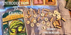 Ogham Wisdom: An Introduction to the Celtic Tree Alphabet - Howl at the ...